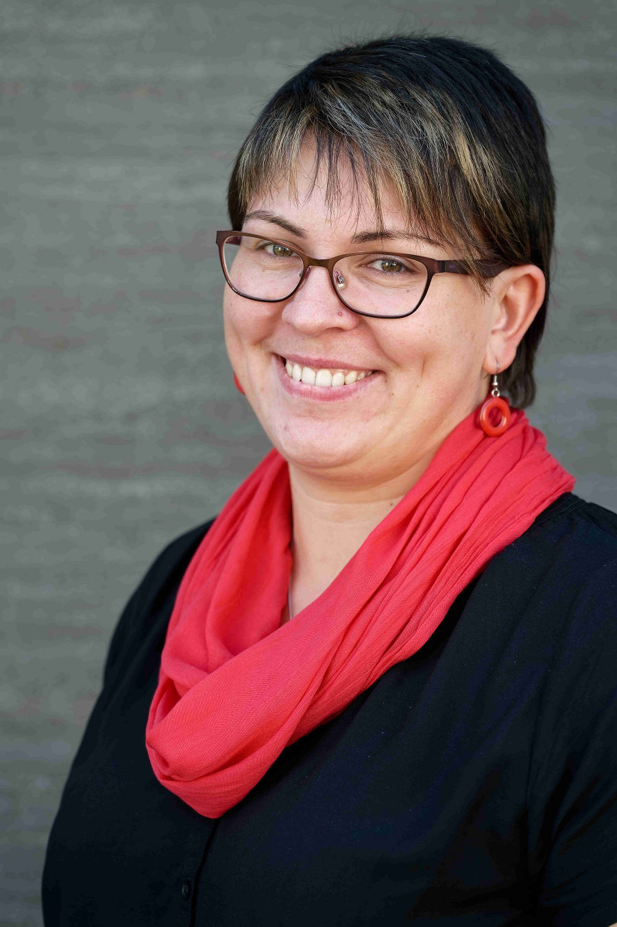 Direktion - Berufsschulen - Land Steiermark